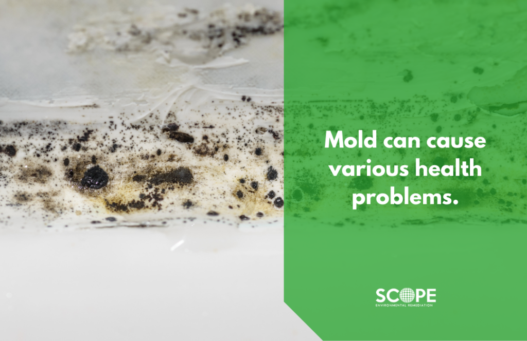 mold remediation | scope clean environmental remediation