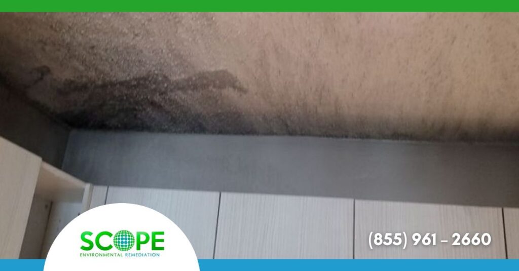 Smoke Removal Facts You Should Know Before You Call Us