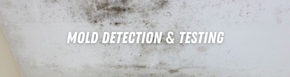Your Home has mold? It's Test For Mold Time - Scope Clean - Scope ...