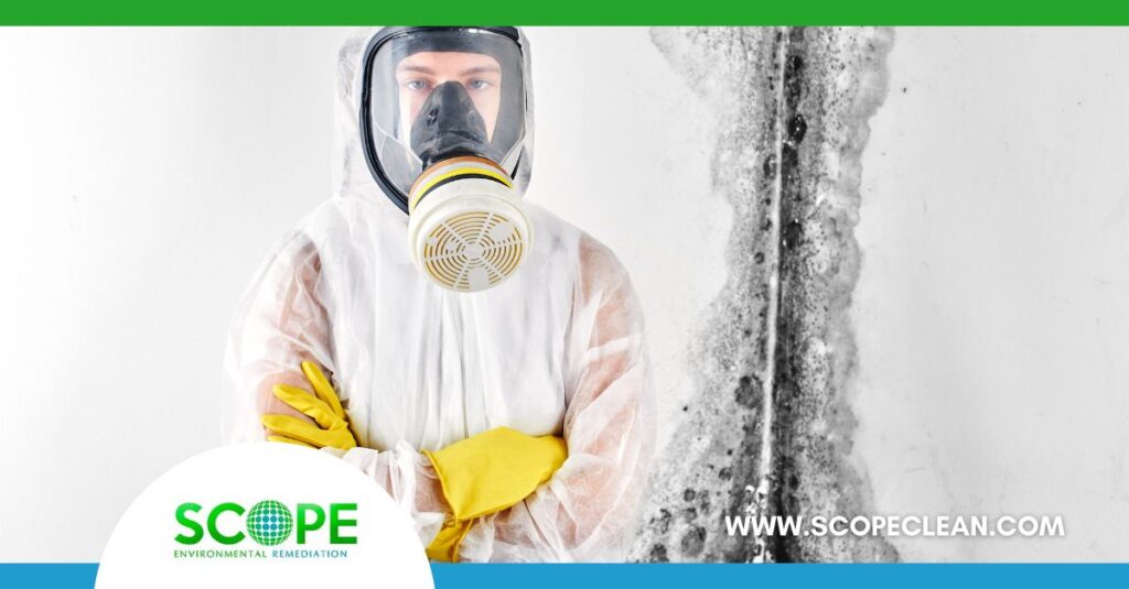 Understanding the Process of Mold Removal - Scope Clean - Scope ...
