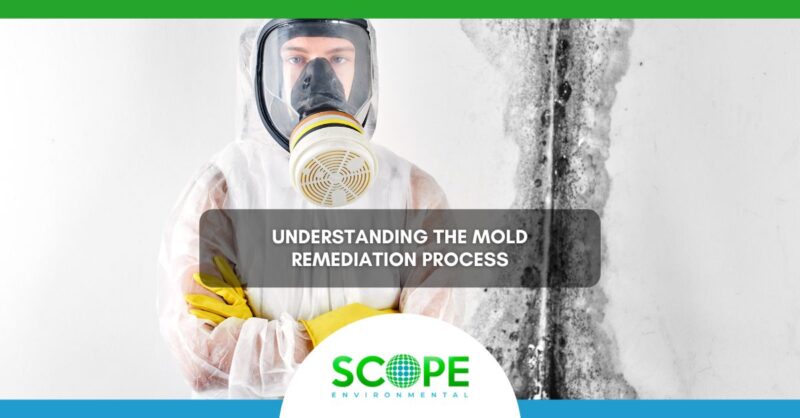 Understanding the Mold Remediation Process - Scope Clean - Scope ...