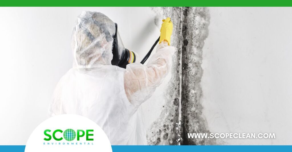 Understanding the Mold Remediation Process - Scope Clean - Scope ...