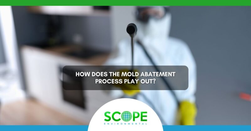 How Does the Mold Abatement Process Play Out? - Scope Clean - Scope ...