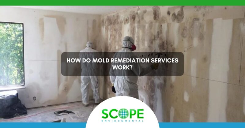 Understanding the Mold Remediation Process - Scope Clean - Scope ...